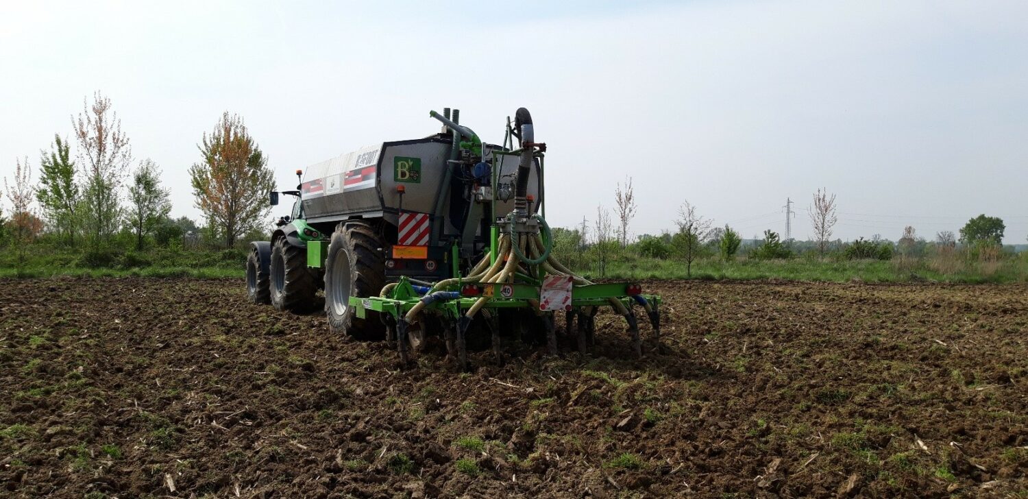 Testing digestate as a fertilizer on maize crops - Systemic
